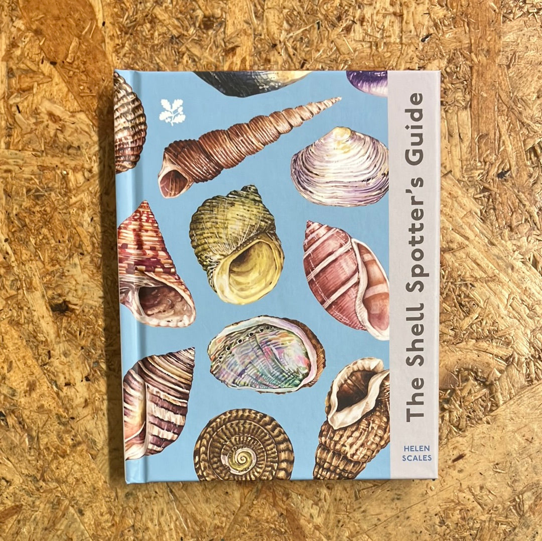 The Shell Spotter’s Guide | Helen Scales – Pigeon Books
